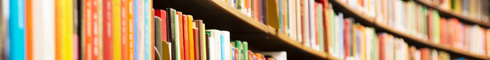 The Team School Aid South Africa